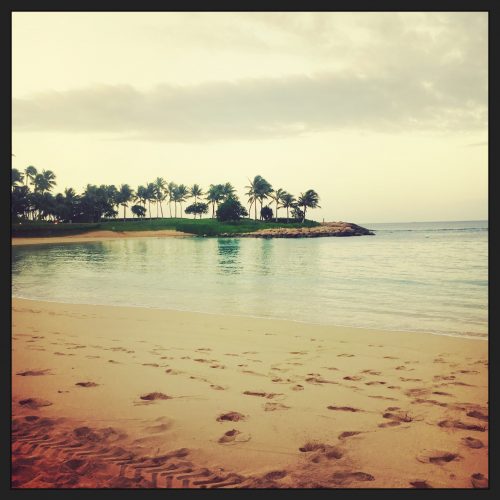 January 2017: A 7 Day Stay at Disney’s Aulani Resort and Spa