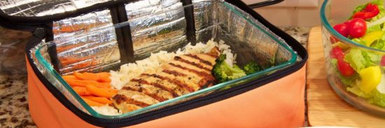 Hot Logic Mini - A Quick Review